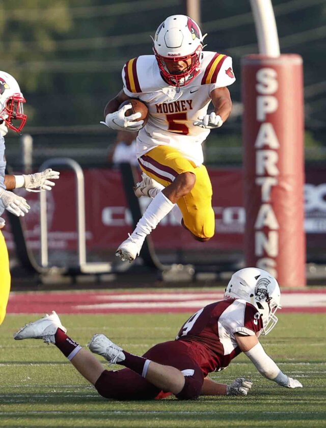 Spartans down Cardinals | News, Sports, Jobs - The Vindicator